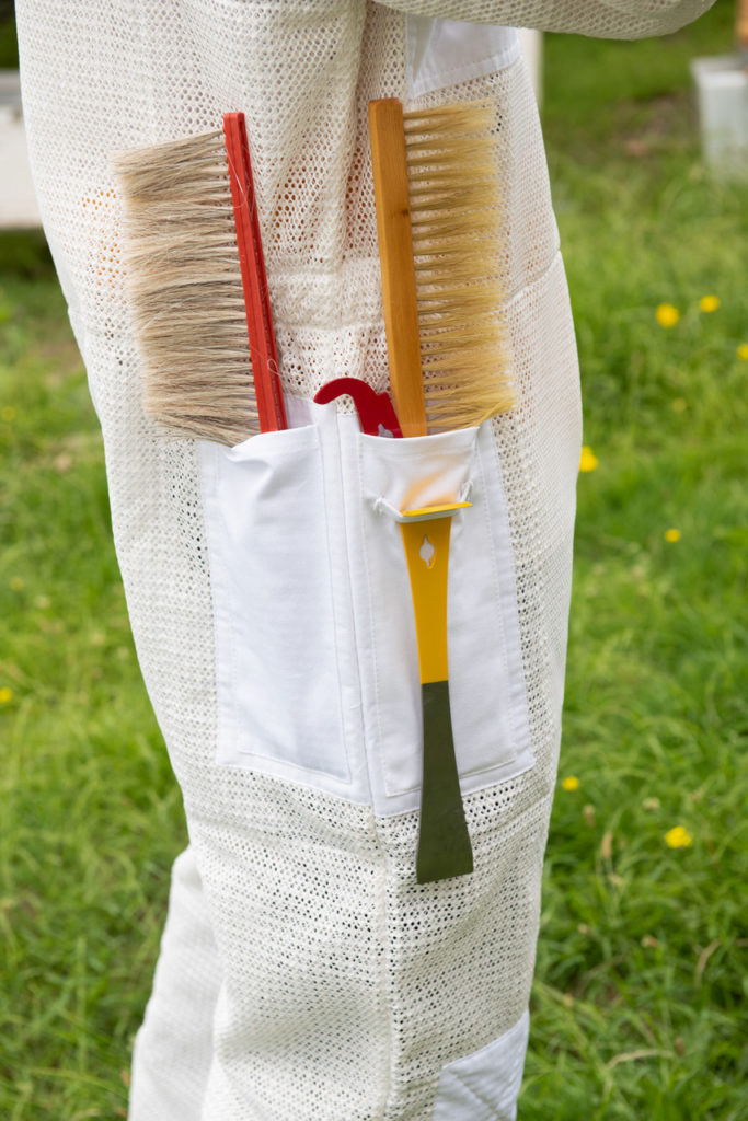 Bee Brush - Basic - Bristle Single Row Wooden handle