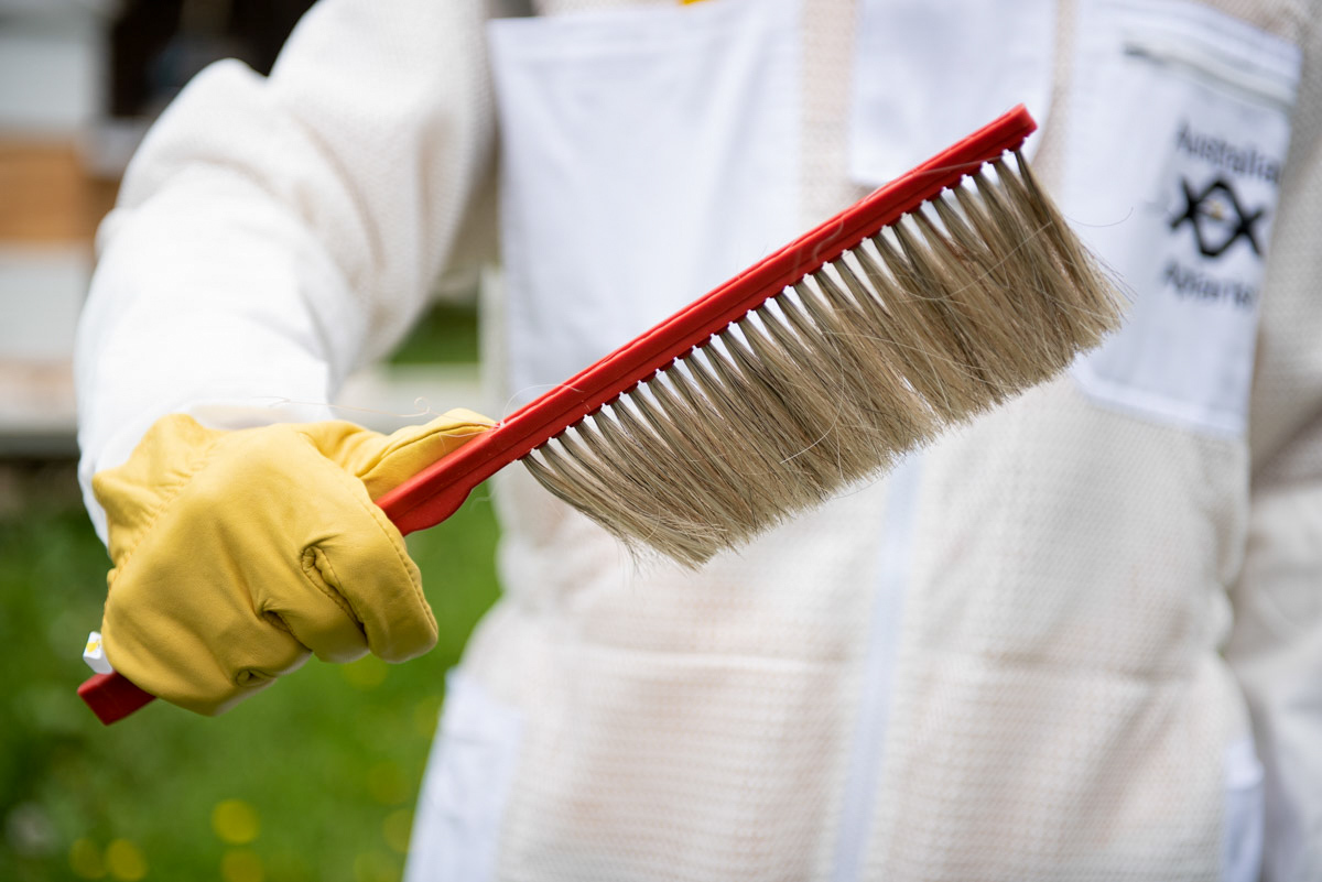 Bee Brush - Basic - Bristle Single Row Wooden handle