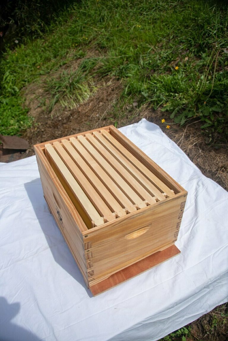 Beehive - 10 frame package (full wax dip FP)