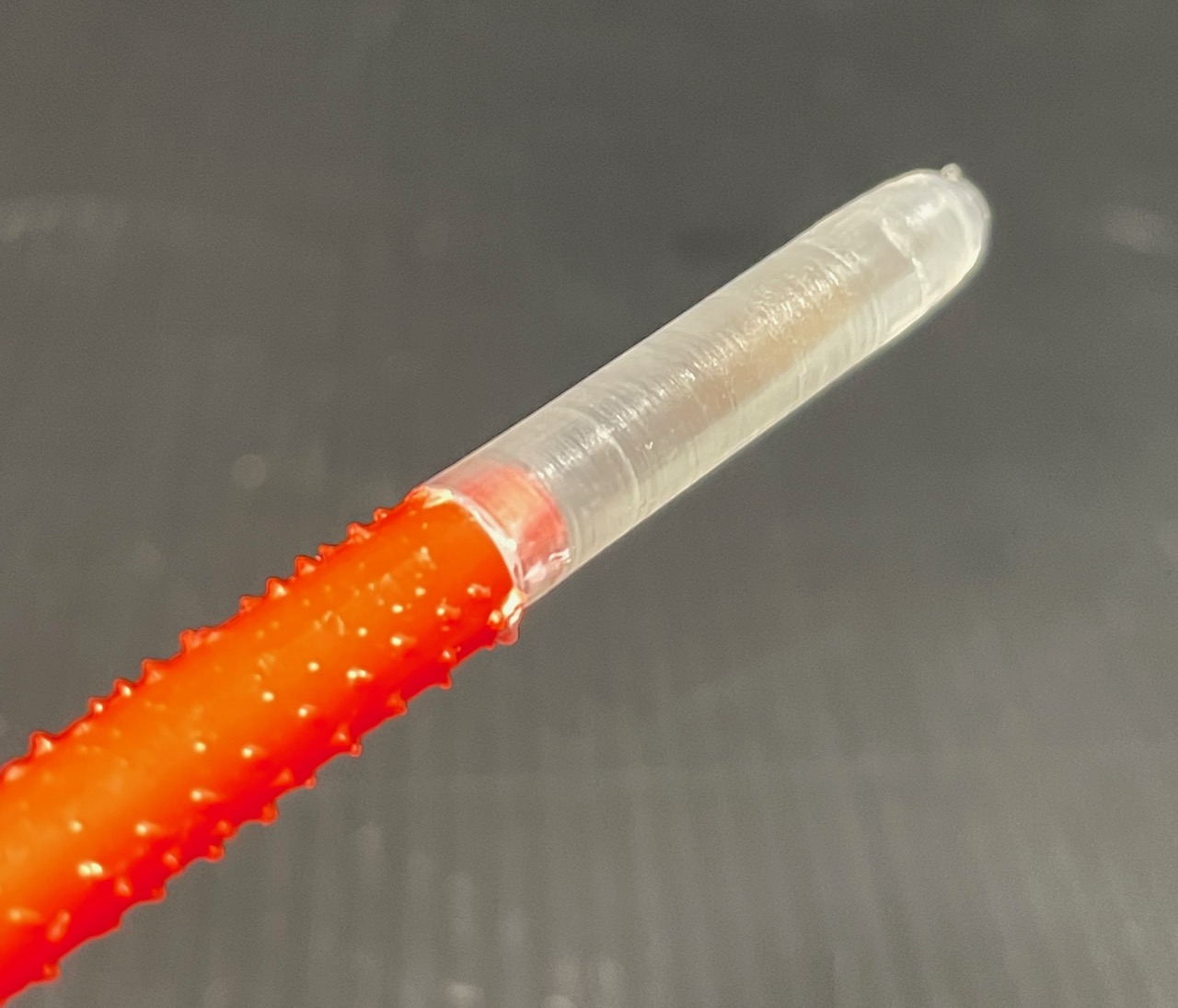 Grafting Tool for Queen Larvae