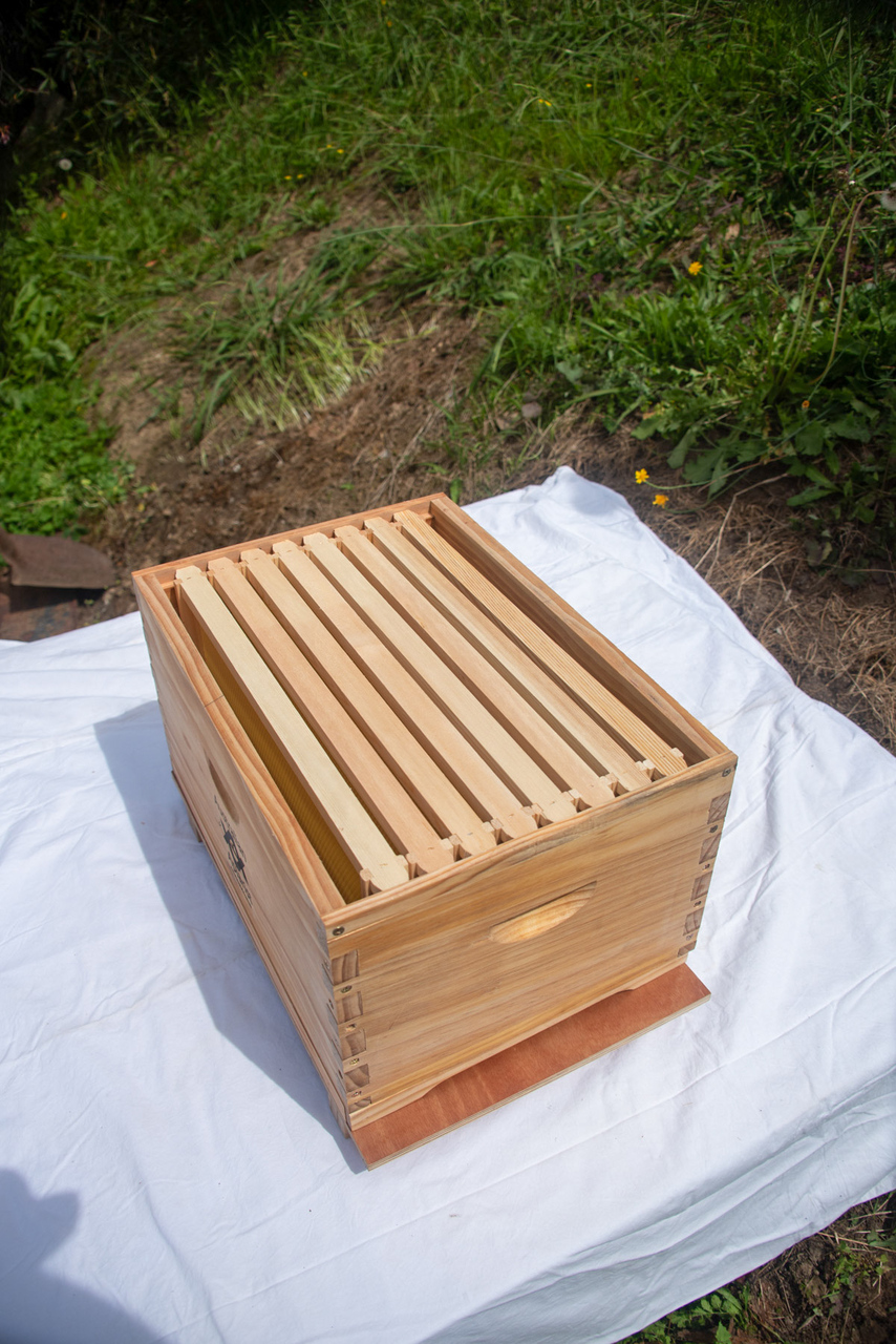Beehive - 8 frame | 1 Brood Box ASSEMBLED (Wax Dipped)