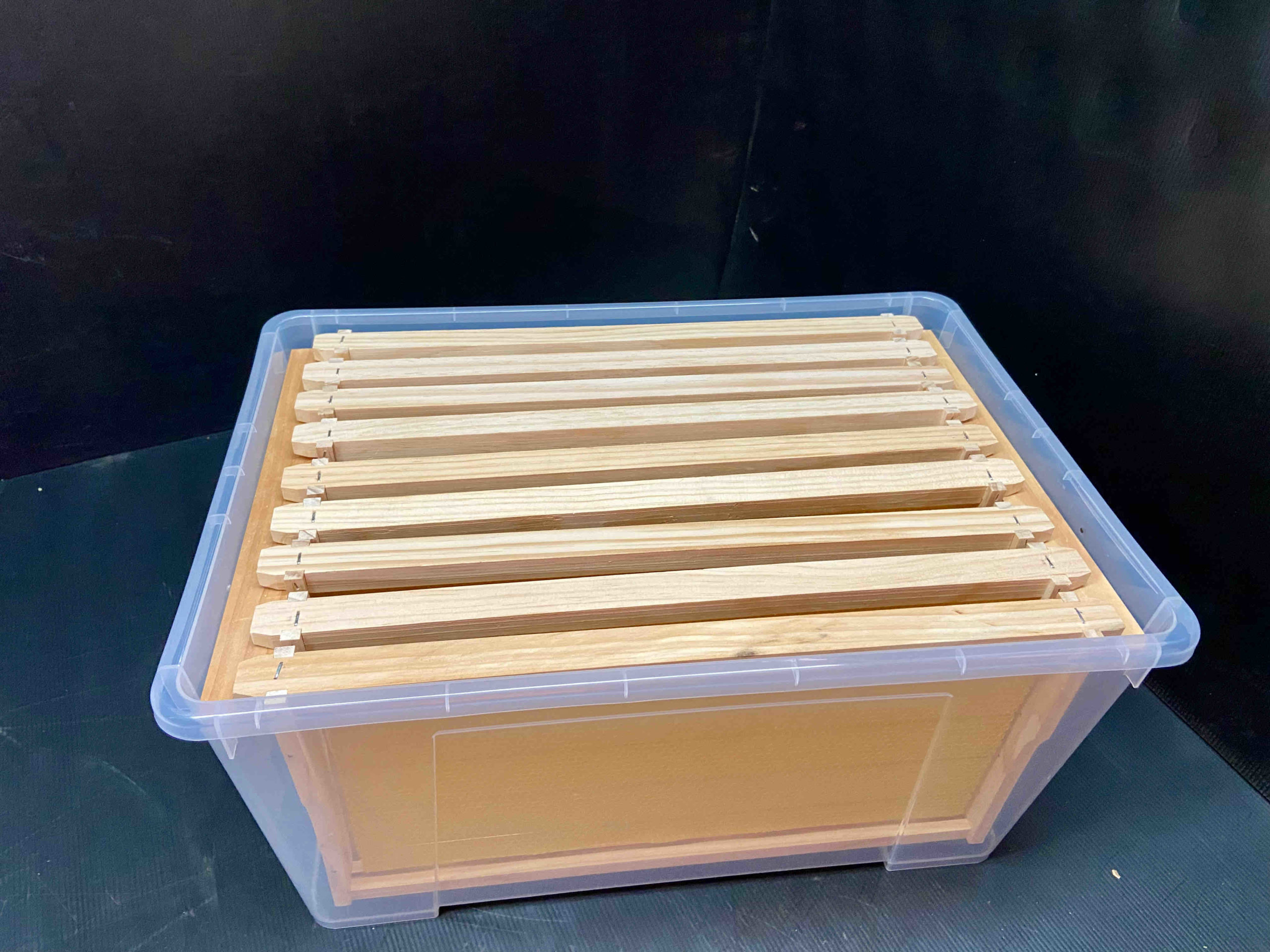 Efficient 50L Tub for Bee Frame Storage - Australian Bee Supplies