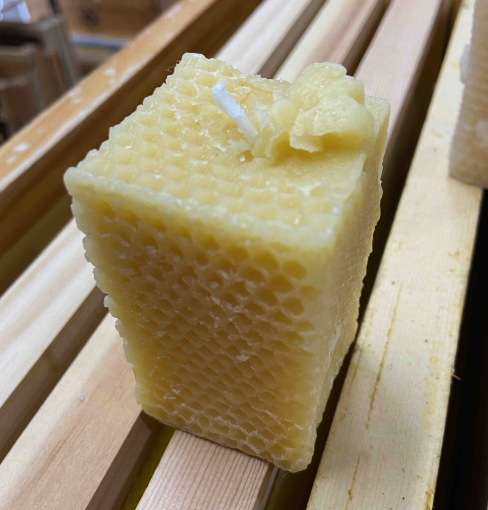 100% Beeswax Novelty Candles - Australian Bee Supplies
