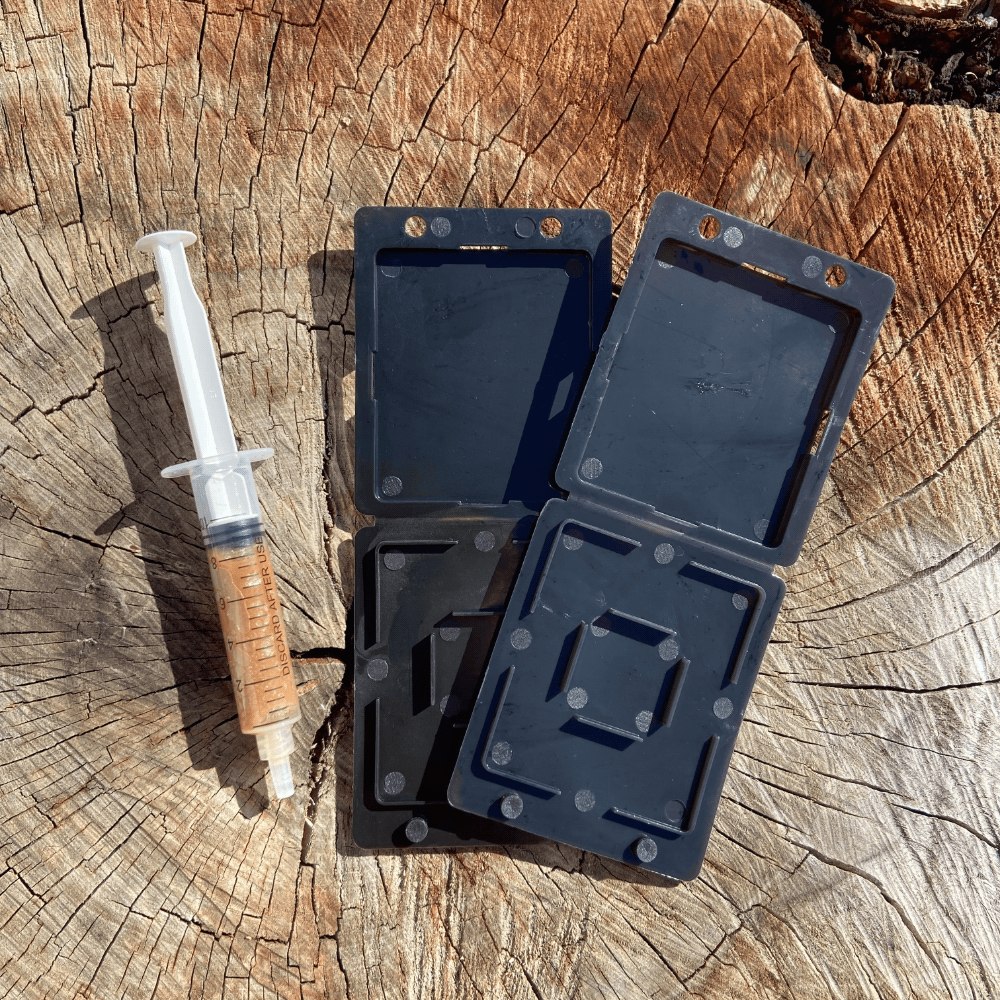 Beehive Beetle Trap Box